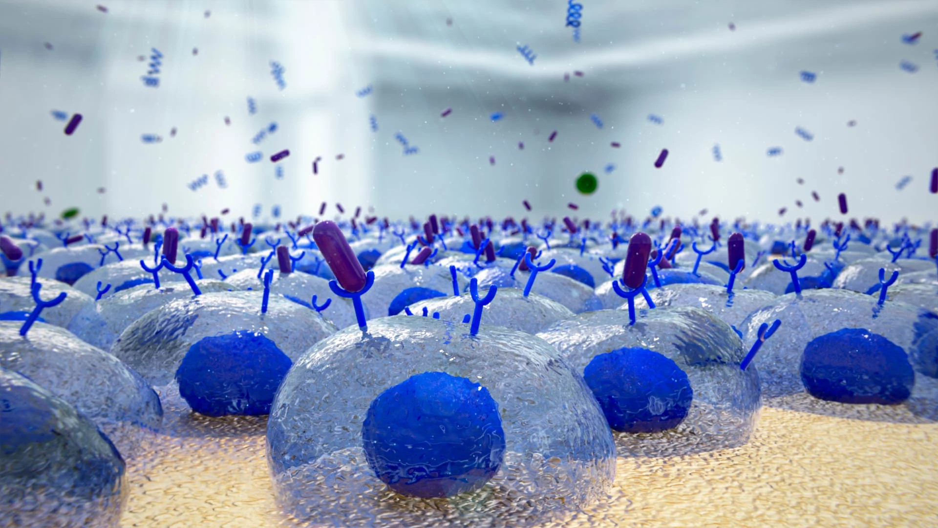 Poster: High-throughput affinity selection mass spec assay to discover ... Poster: High-throughput affinity selection mass spec assay to discover ...